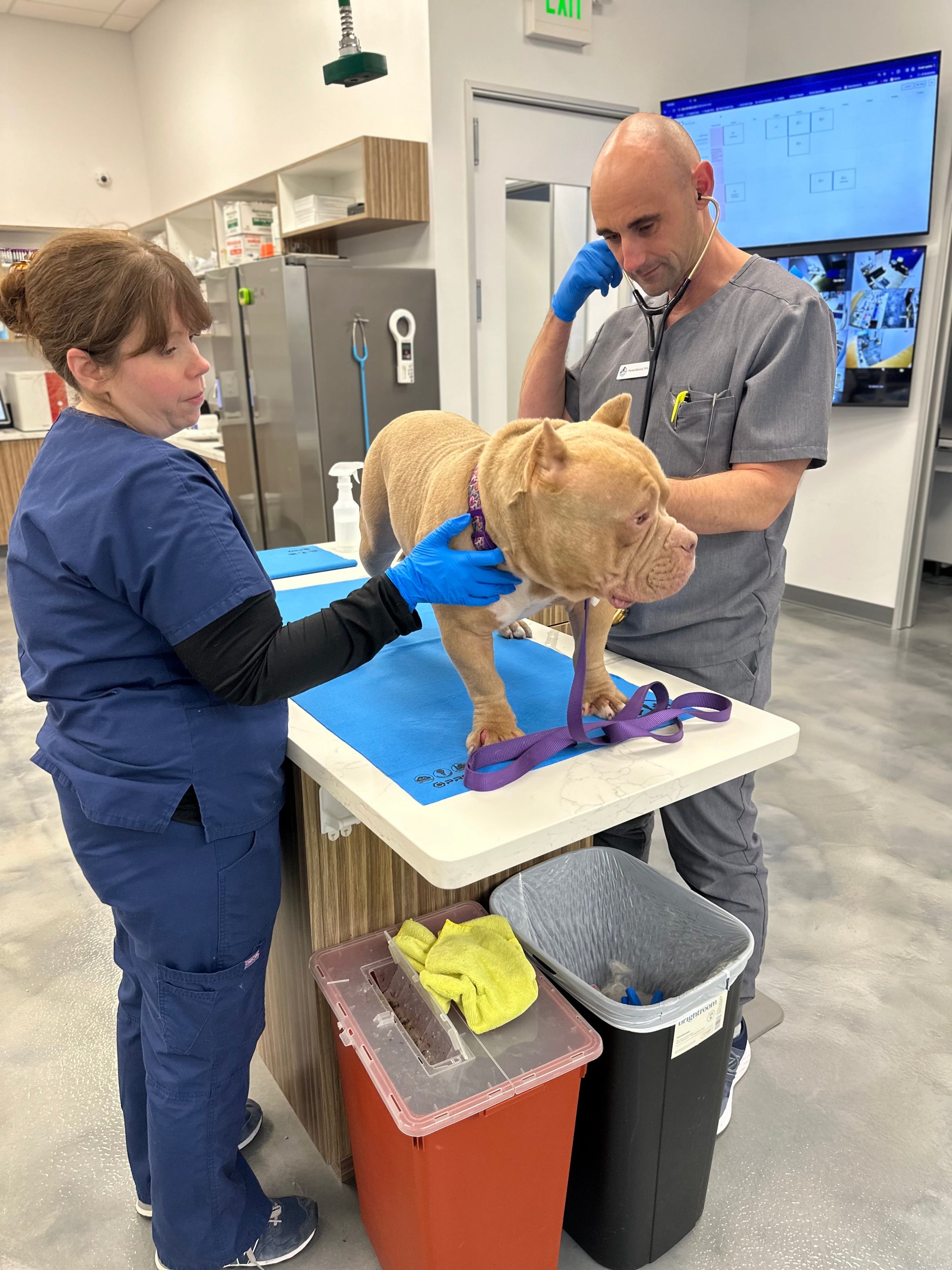 Contingenci® Pro-Veterinary Line | Sustainable Veterinary Products
